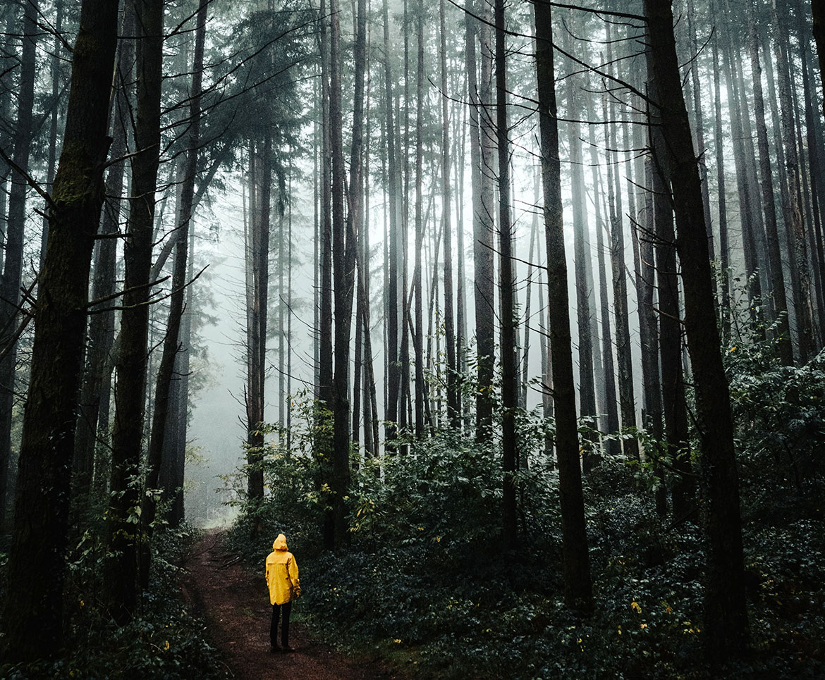 Sep 26: Re-Emergence/ Emergency Walk: Climate Strike – Climate ...